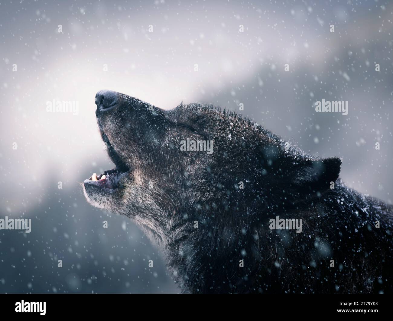 Primal power hi-res stock photography and images - Alamy
