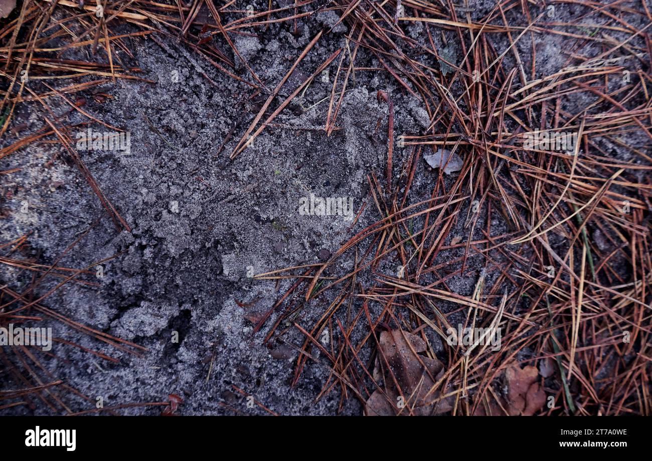 Dusty ground texture hi-res stock photography and images - Alamy