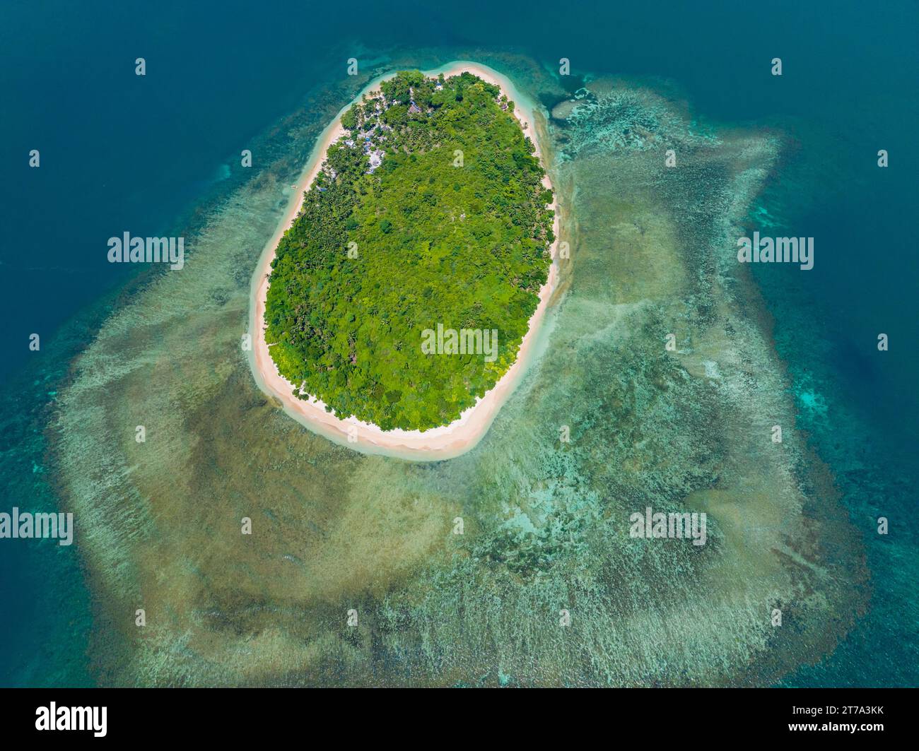 Tropical island with a white sand beach and azure water surrounded by a ...