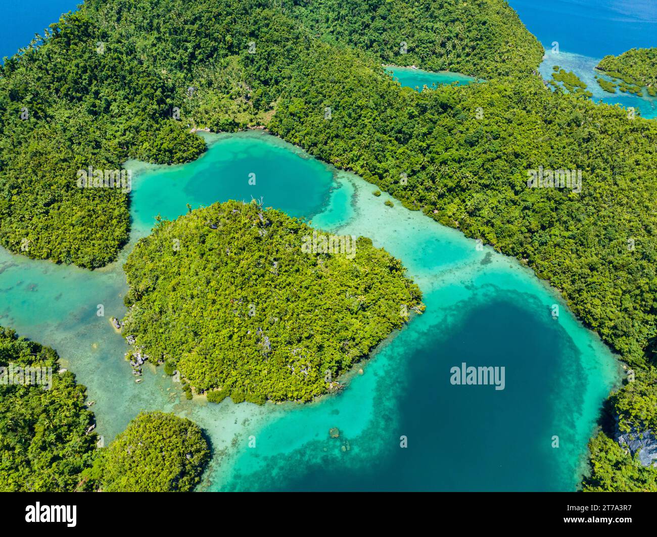 Greenish water in lagoons and islands with trees. Tinago Island ...