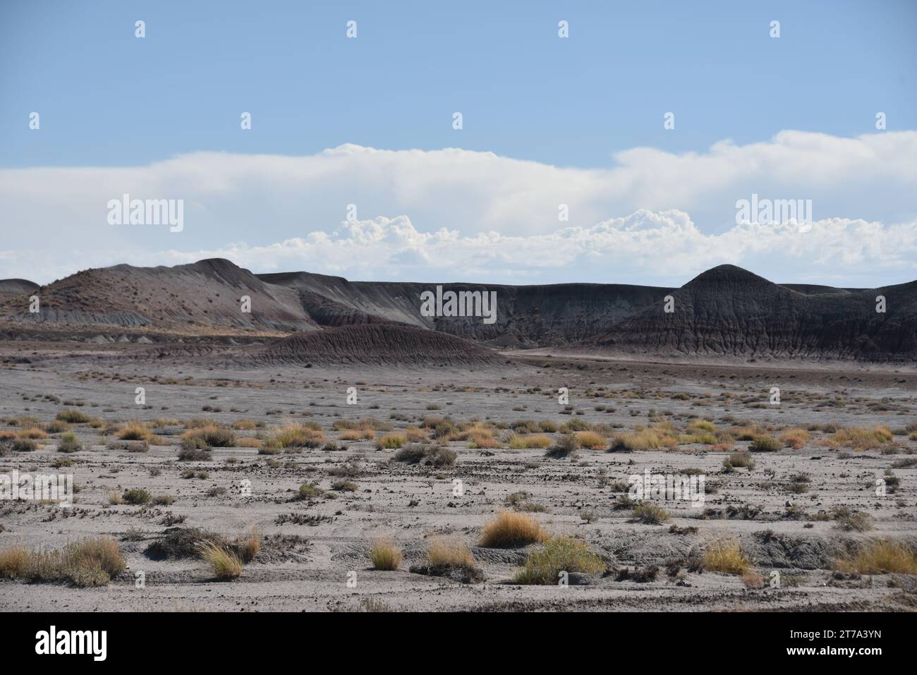 Painted Desert National Park, AZ USA 10/17/2023. Blue Mesa is a ...