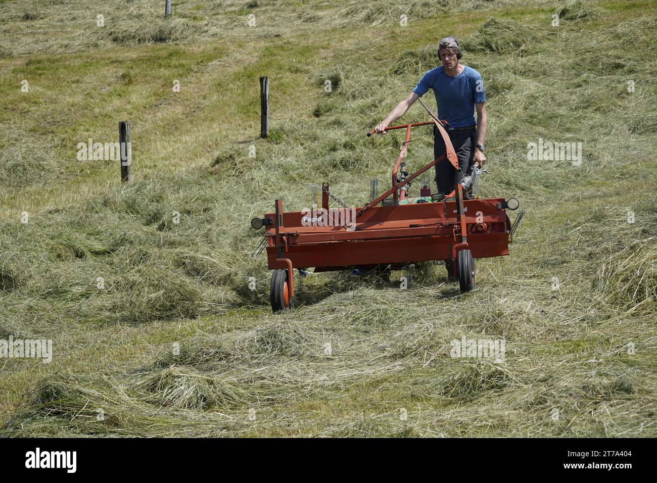 A rugged male farmer harvesting hay with a small tractor Stock Photo ...
