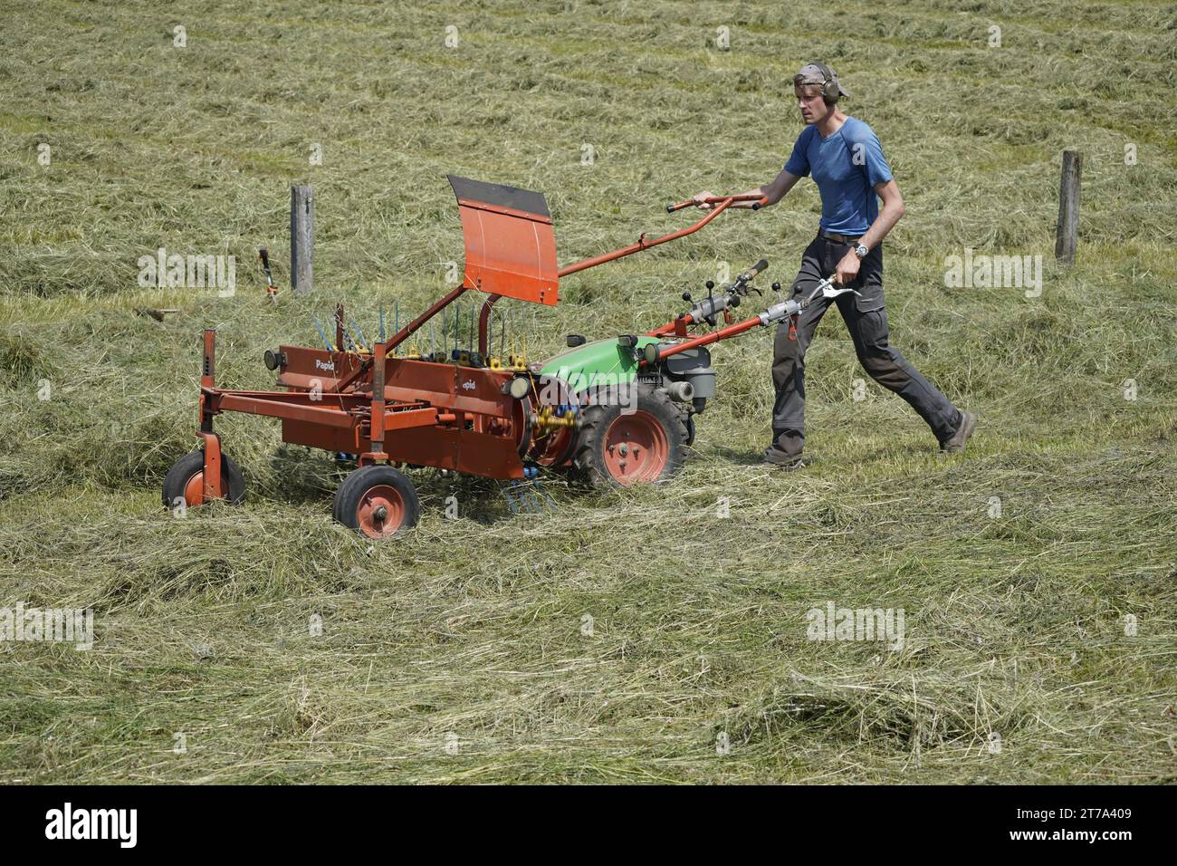 A rugged male farmer harvesting hay with a small tractor, pulling the ...