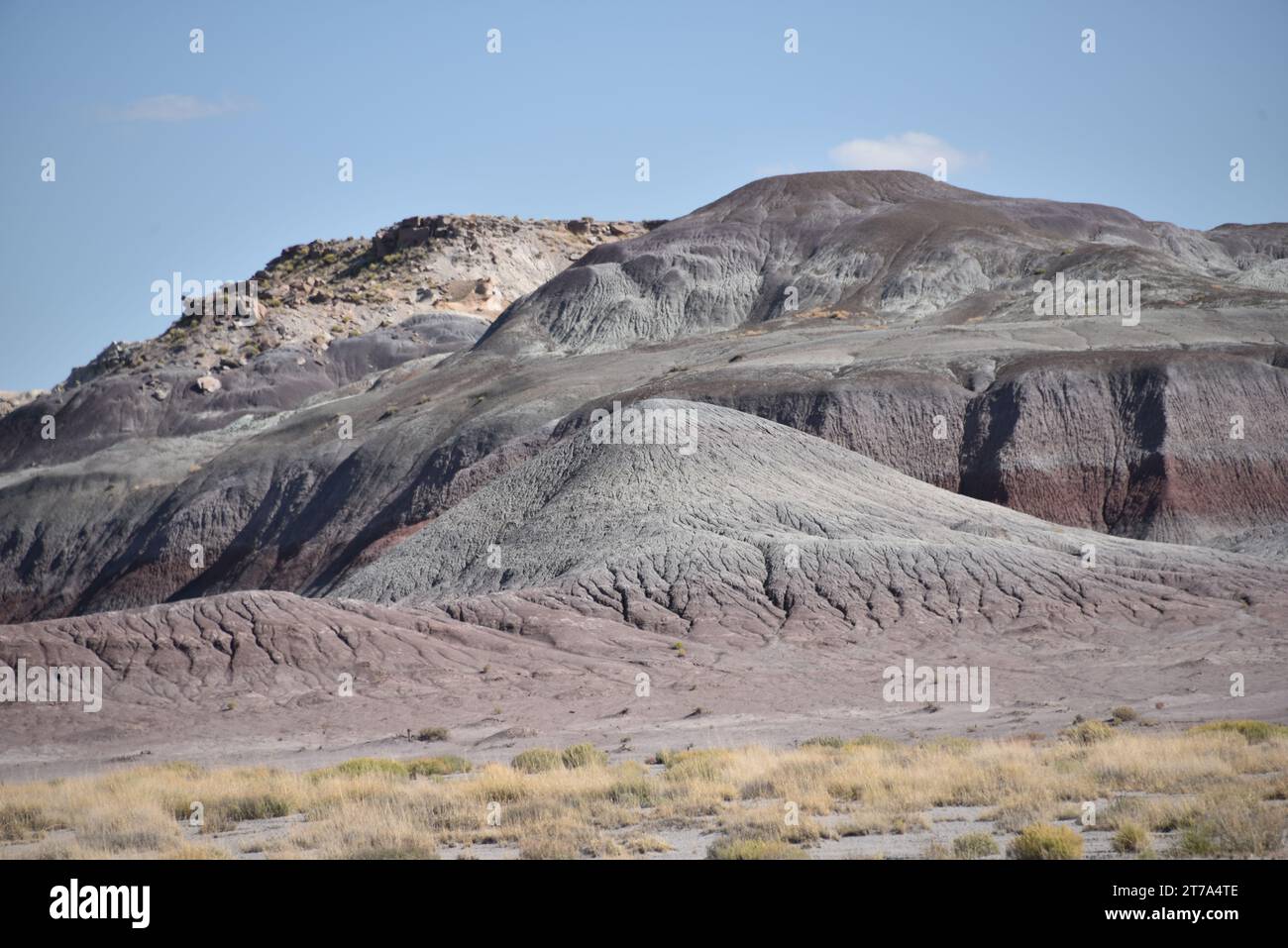 Painted Desert National Park, AZ USA 10/17/2023. Blue Mesa is a ...