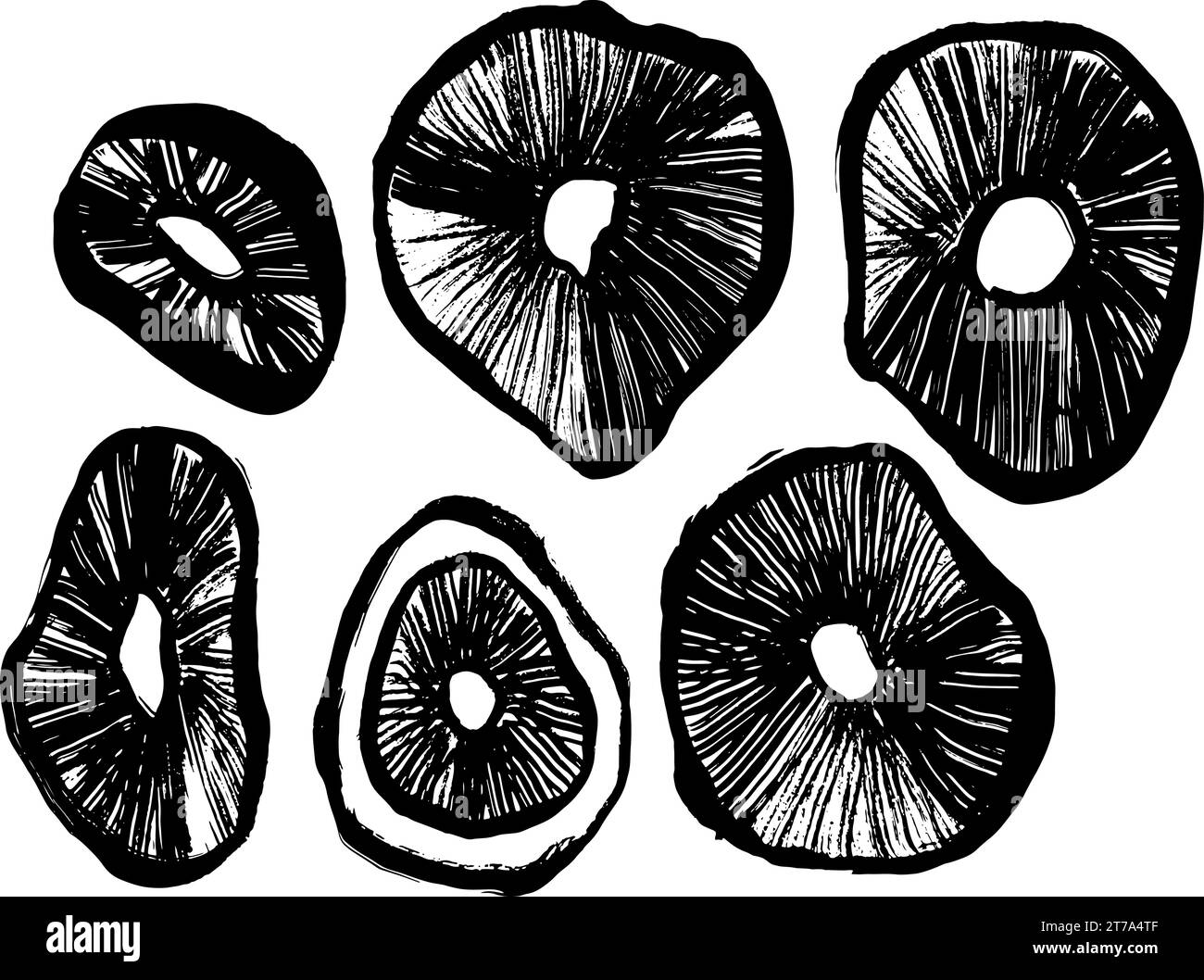 Set of Free Hand Dry Brush Ink Drawing Round Coral Set Stock Vector ...