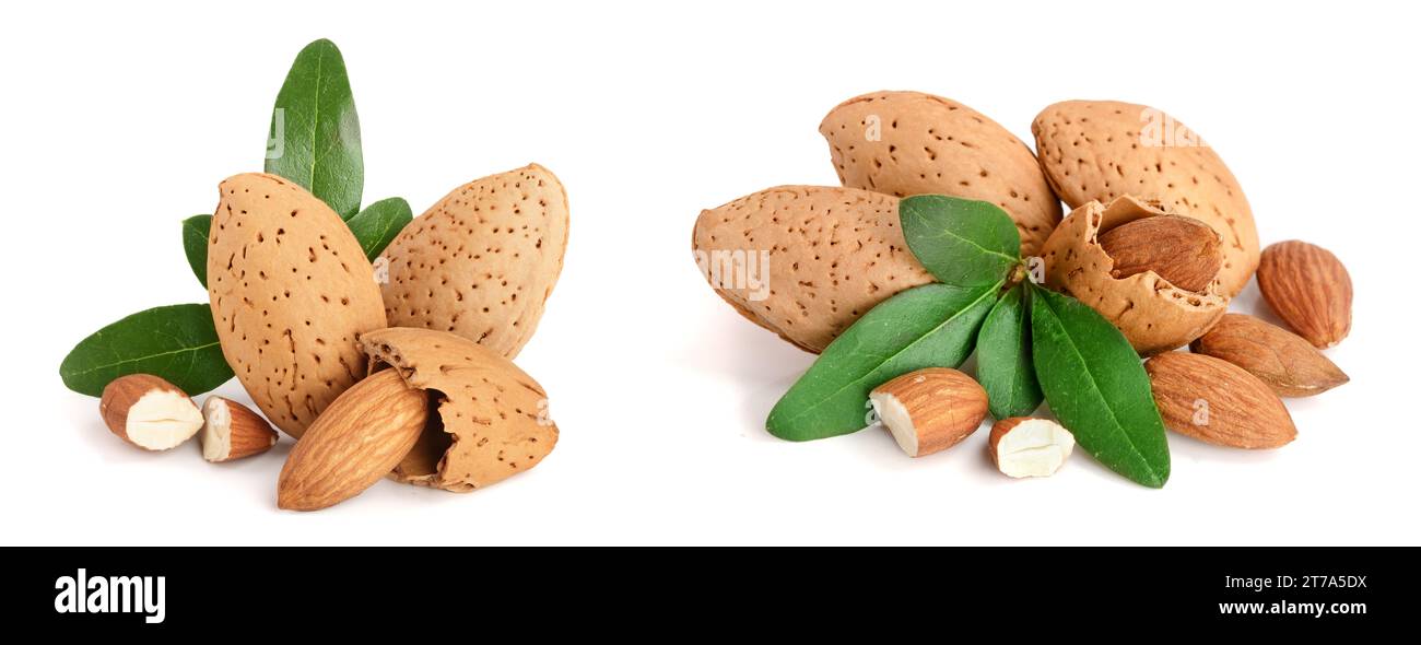 Group of almond nuts with leaves isolated on white background Stock ...