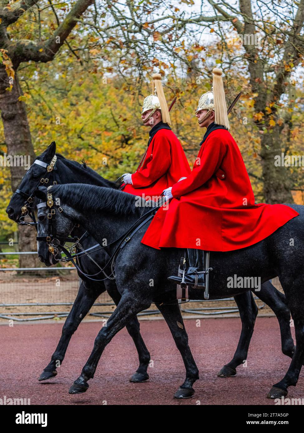 London, UK. 14th Nov, 2023. Life Guards ride up the Mall in wet weather ...