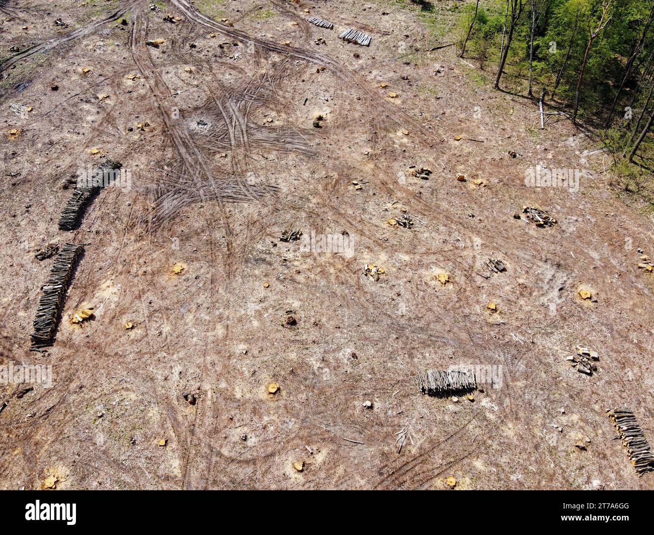 Logging forest aerial clearing hi-res stock photography and images - Alamy