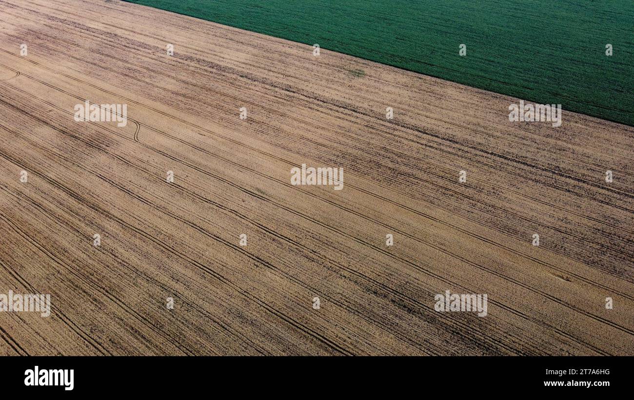 Agricultural fields, top view. Farmed fields, bird's-eye view of the ...