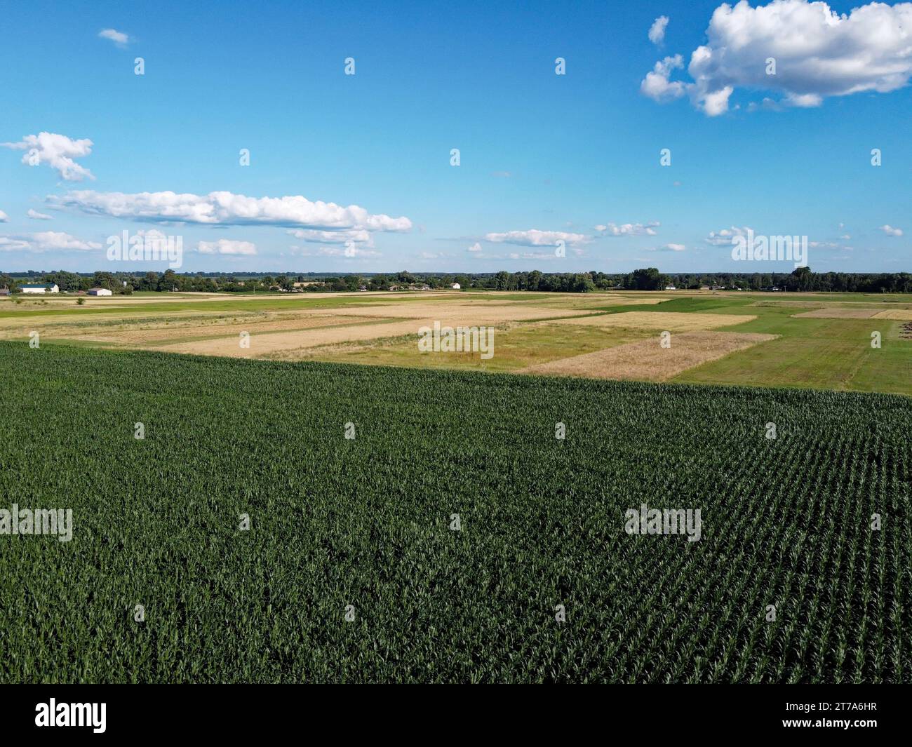 Beautiful agricultural landscape, open field with blue sky and white ...