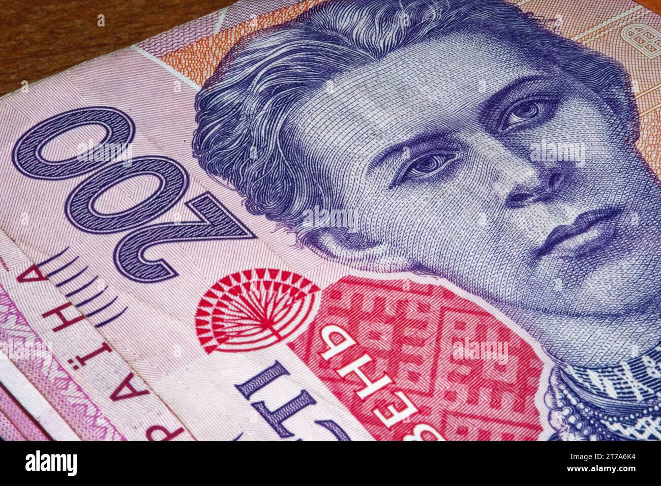 In this detailed shot, the portrait of Lesya Ukrainka on a 200 hryvnia ...