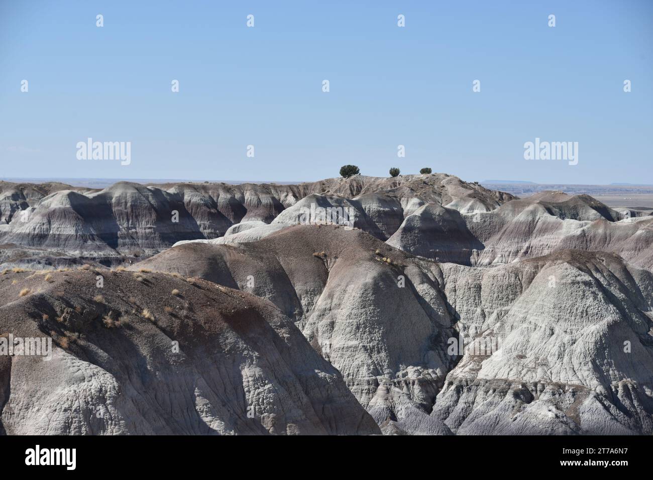 Painted Desert National Park, AZ USA 10/17/2023. Blue Mesa is a ...
