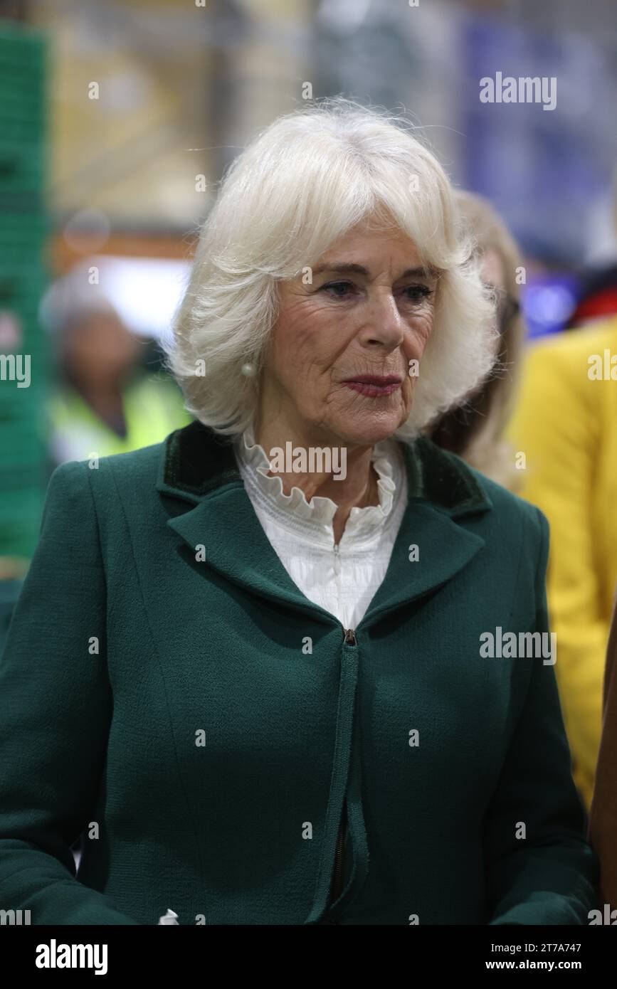 Queen Camilla marks the King's 75th birthday at the launch of The ...
