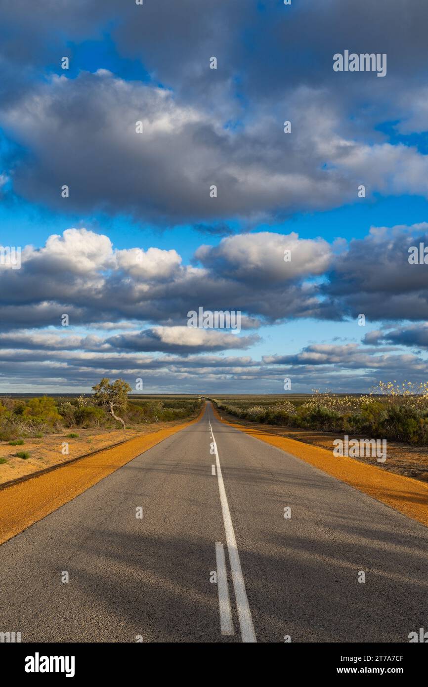 Aerial view of a desolate, winding road lined with trees on an overcast ...