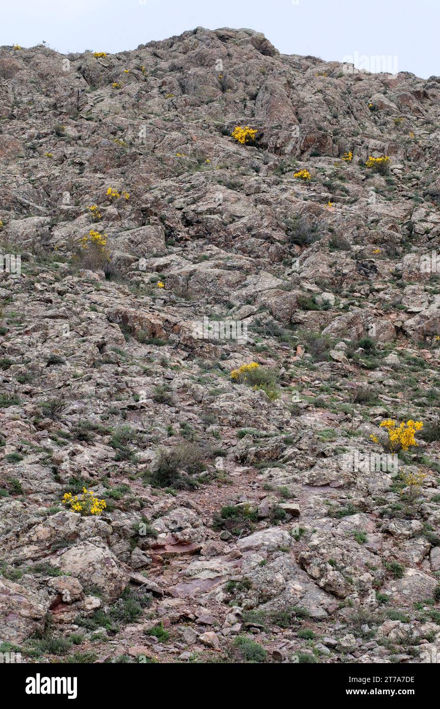 Volcánico castilla hi-res stock photography and images - Alamy