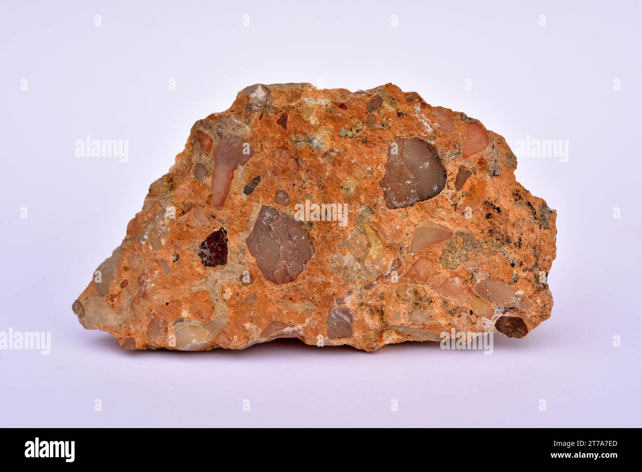 Sedimentary breccia with angular fragments and matrix Stock Photo - Alamy