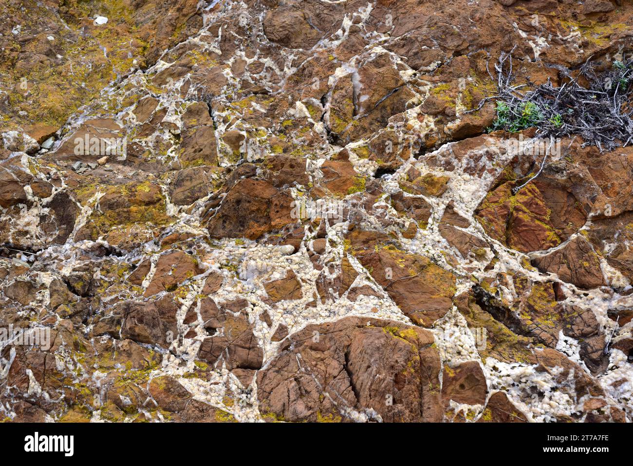 White matrix hi-res stock photography and images - Alamy