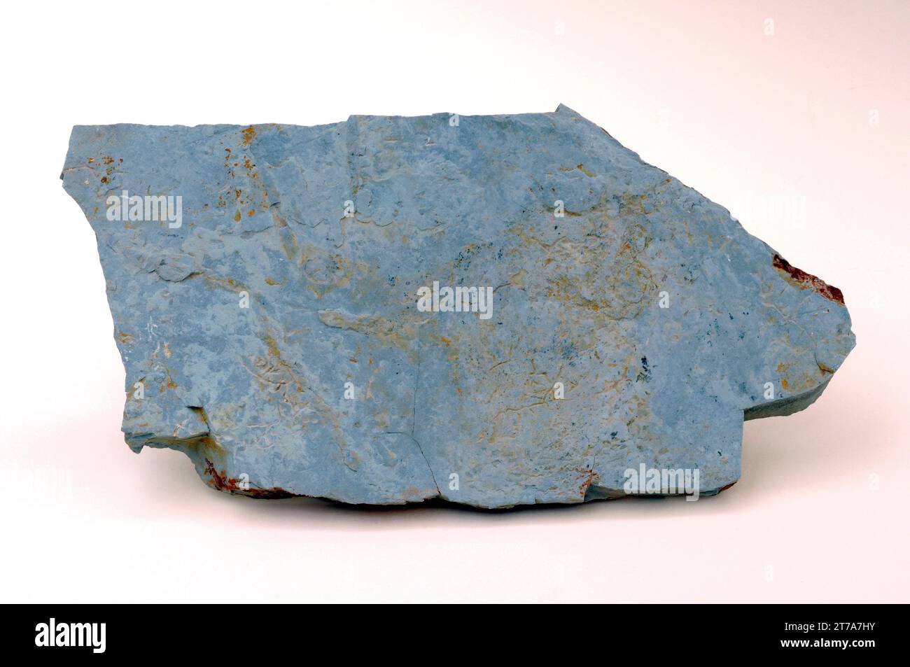 Limestone is a carbonate sedimentary rock. Sample Stock Photo - Alamy