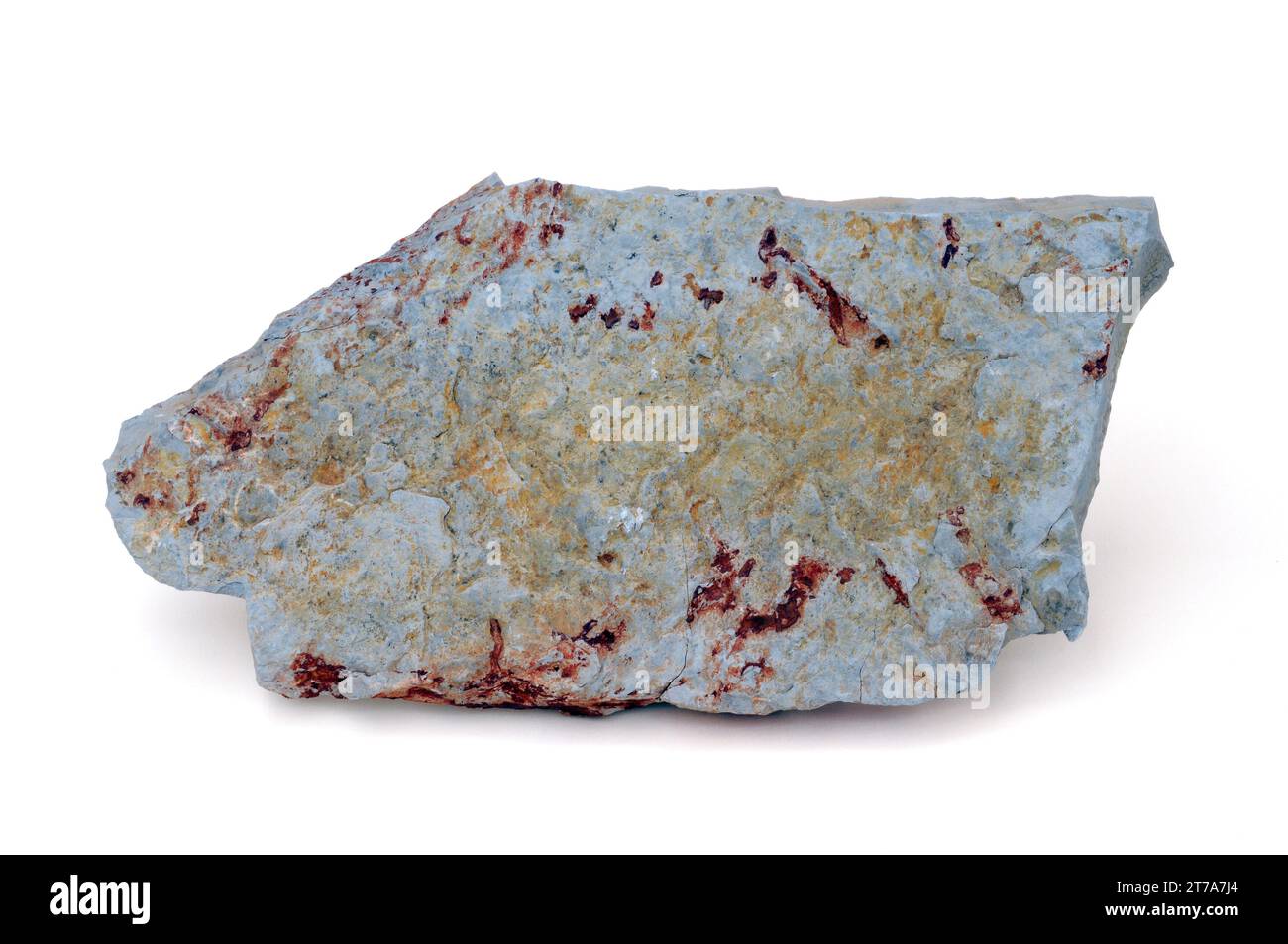 Limestone is a carbonate sedimentary rock. Sample Stock Photo - Alamy