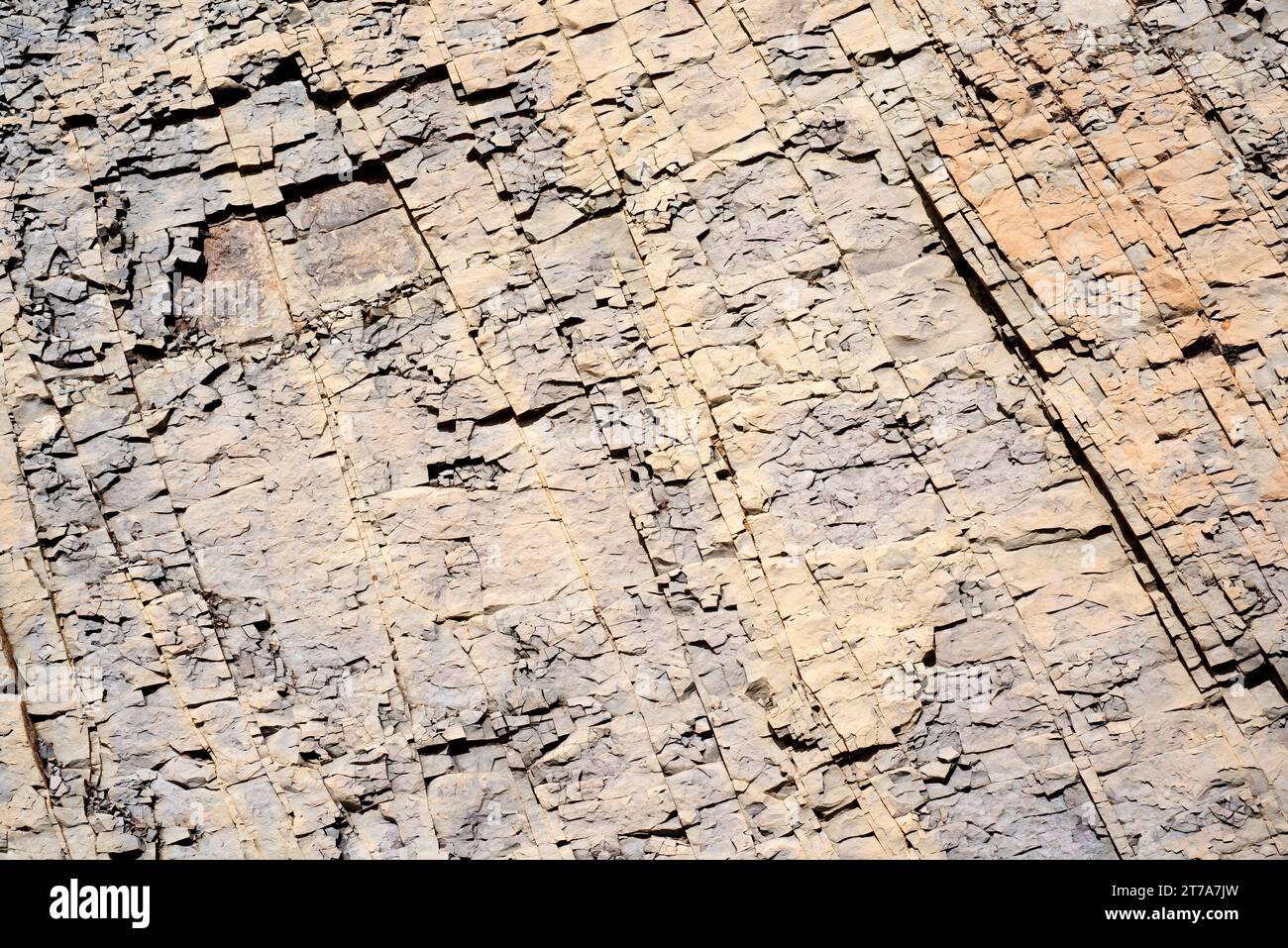 Calcium carbonate structure hi-res stock photography and images - Alamy