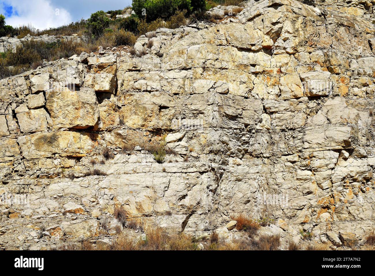 Limestone (carbonate sedimentary rock) with joints. This photo was ...