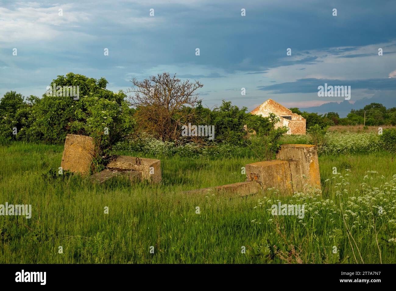 Concrete ruins on the site of an abandoned agricultural complex. Ruins ...