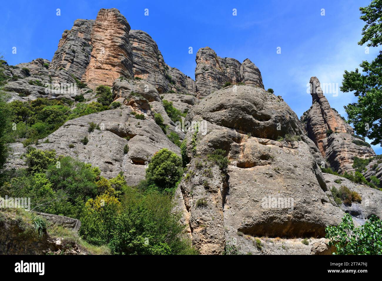 Conglomerate relief. Conglomerate is a clastic sedimentary rock. This ...