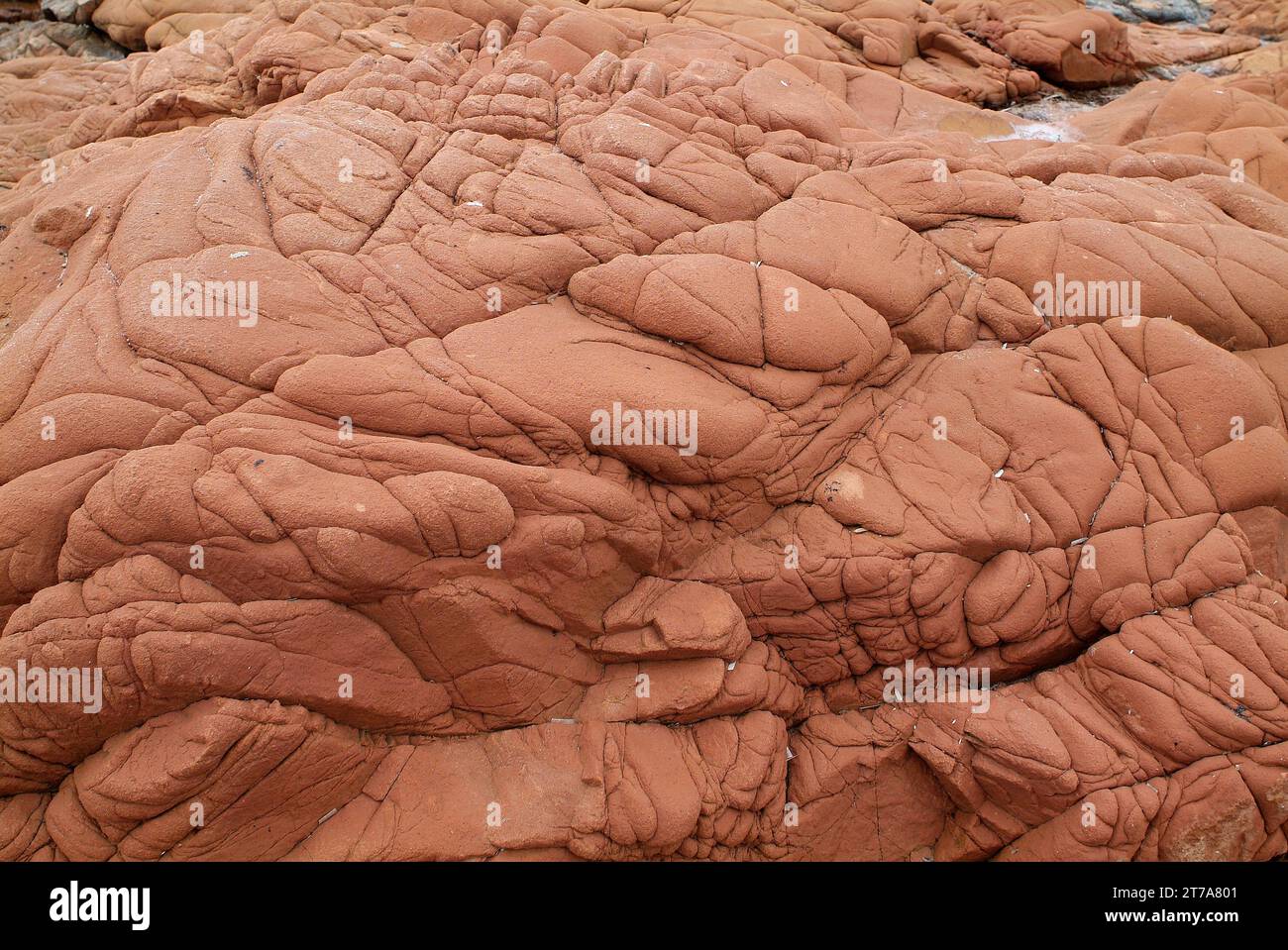 Red granite. Granite is an intrusive igneous rock. This photo was taken ...