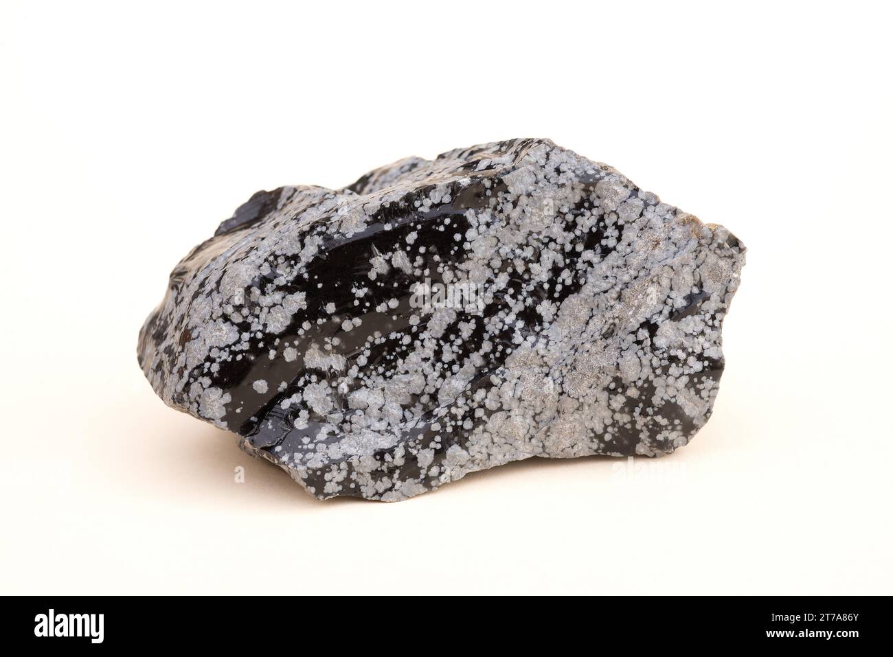Snowflake obsidian. Obsidian is a volcanic rock with glassy texture ...