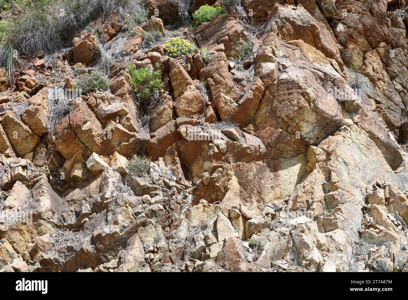 Peridotite is an ultramafic igneous rock composed mainly of olivine and ...