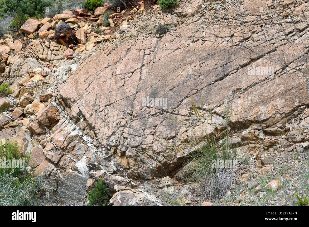 Peridotite is an ultramafic igneous rock composed mainly of olivine and ...