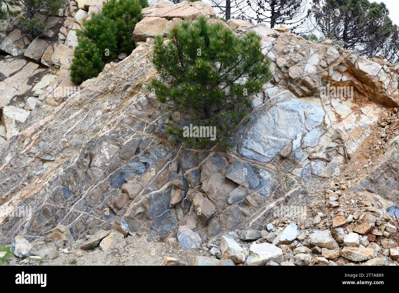 Peridotite is an ultramafic igneous rock composed mainly of olivine and ...