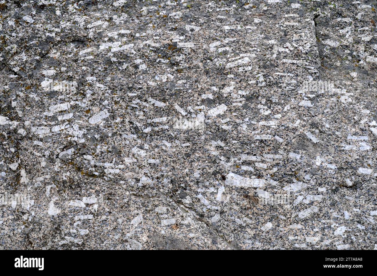 Granite porphyry is an igneous rock with bigs crystals of feldspar ...