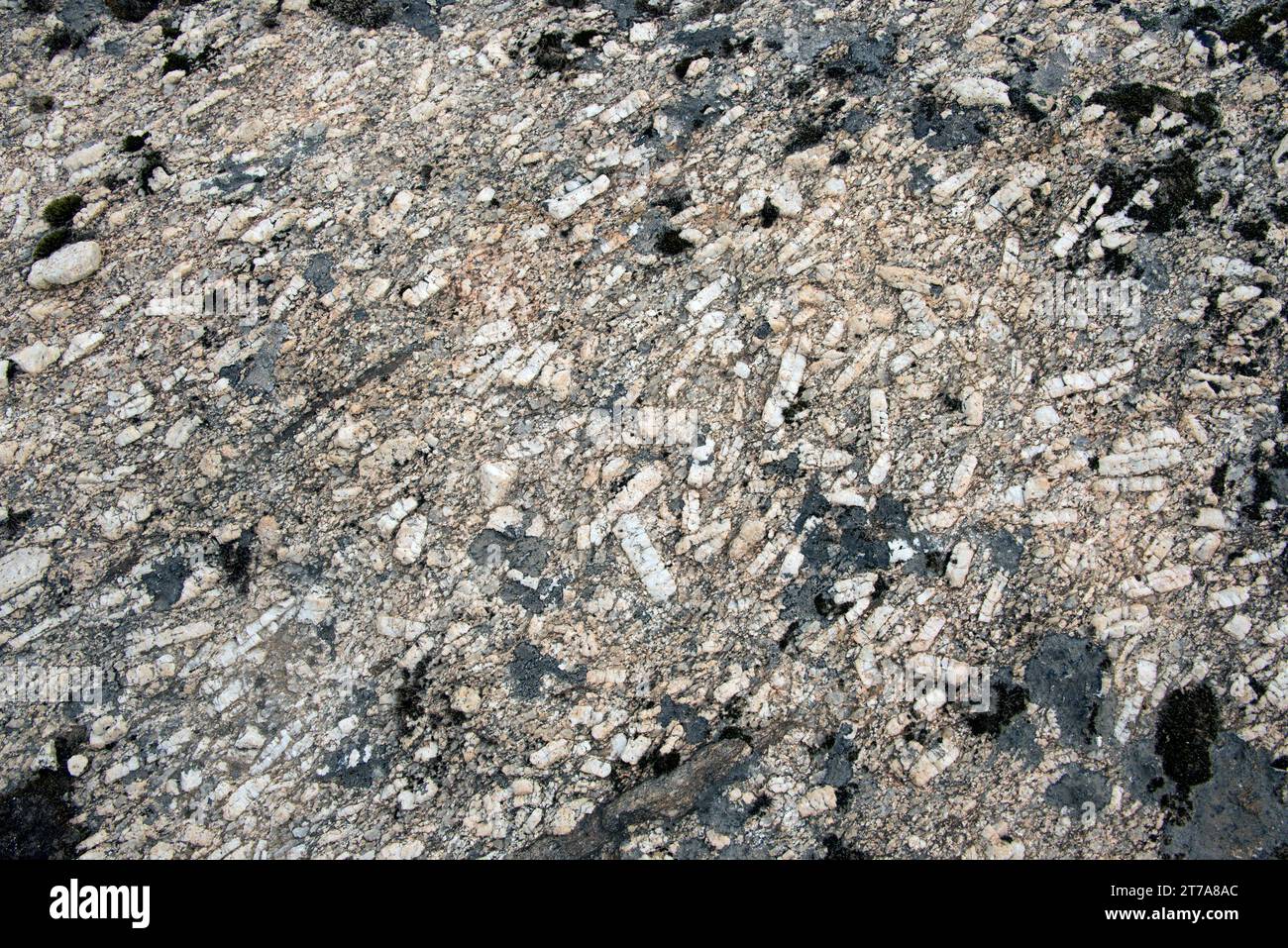Granite porphyry is an igneous rock with bigs crystals of feldspar ...
