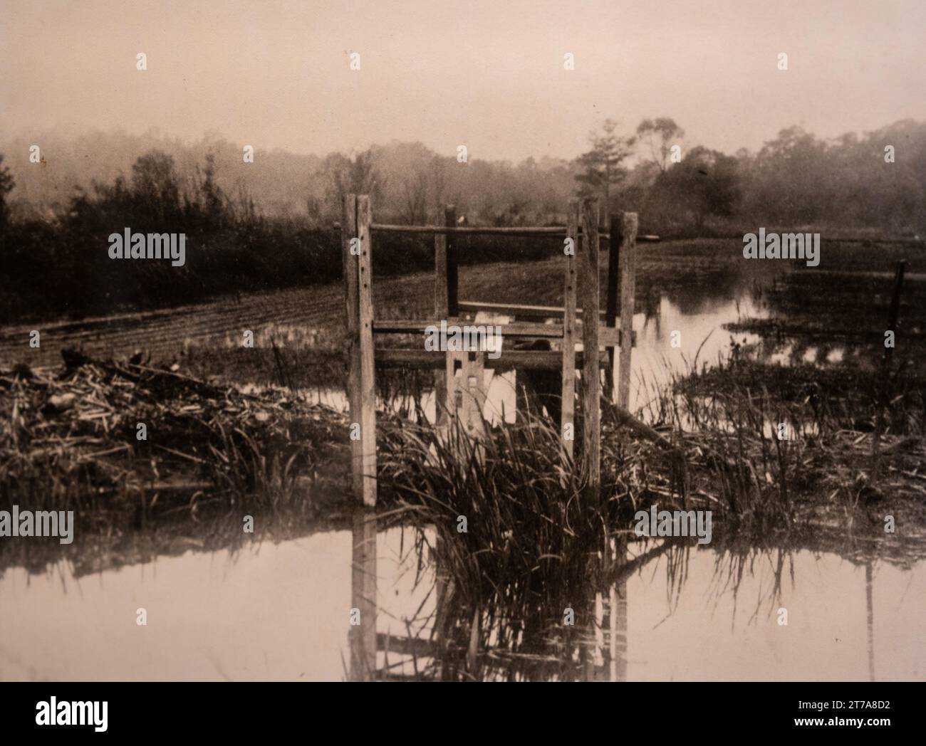 Gates in a field hi-res stock photography and images - Alamy