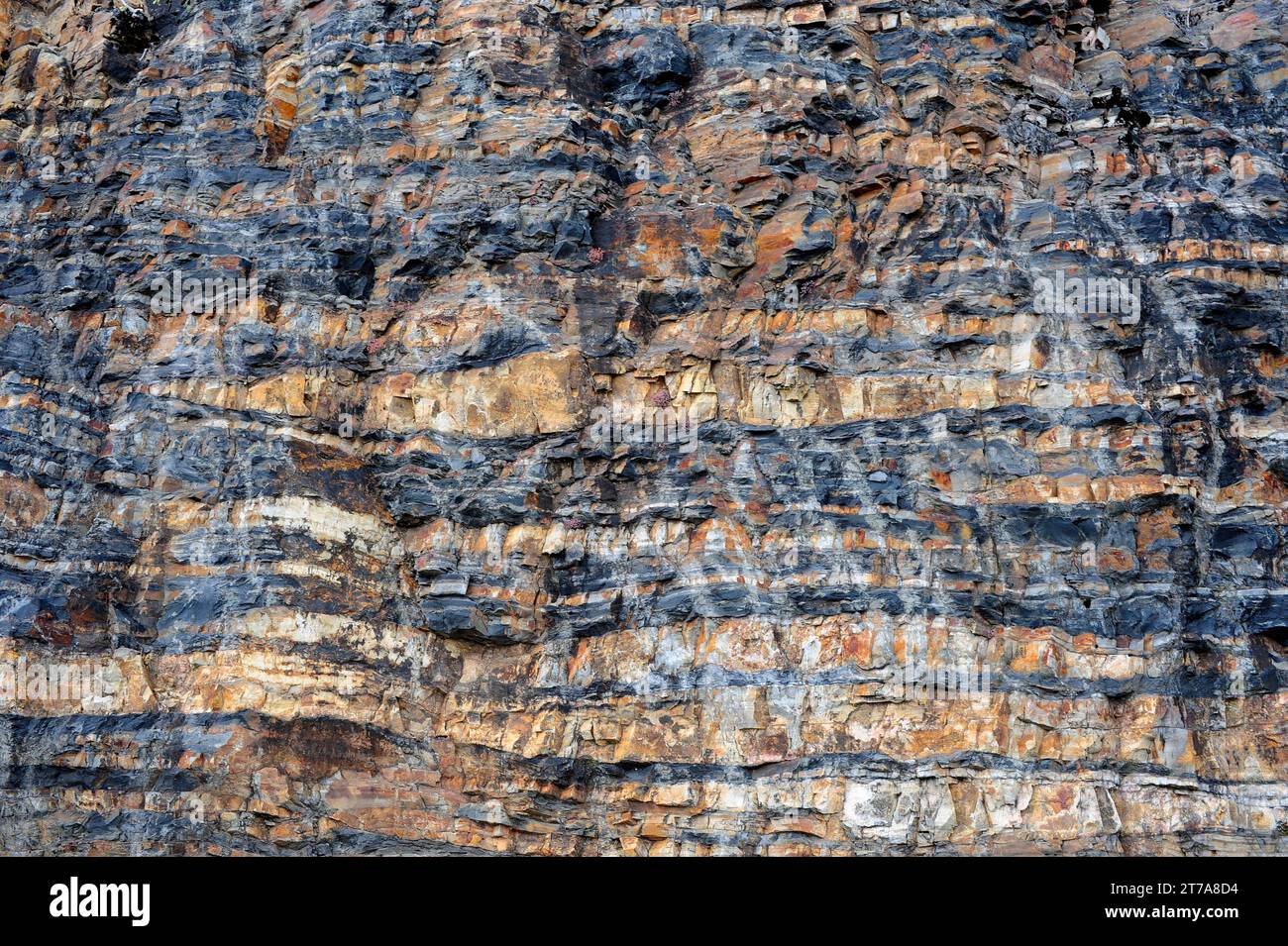 Clear and black strata of armorican quartzite. This photo was taken in ...