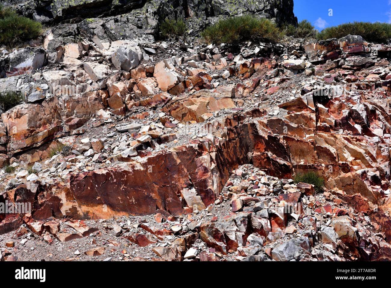 Armorican quartzite hi-res stock photography and images - Alamy