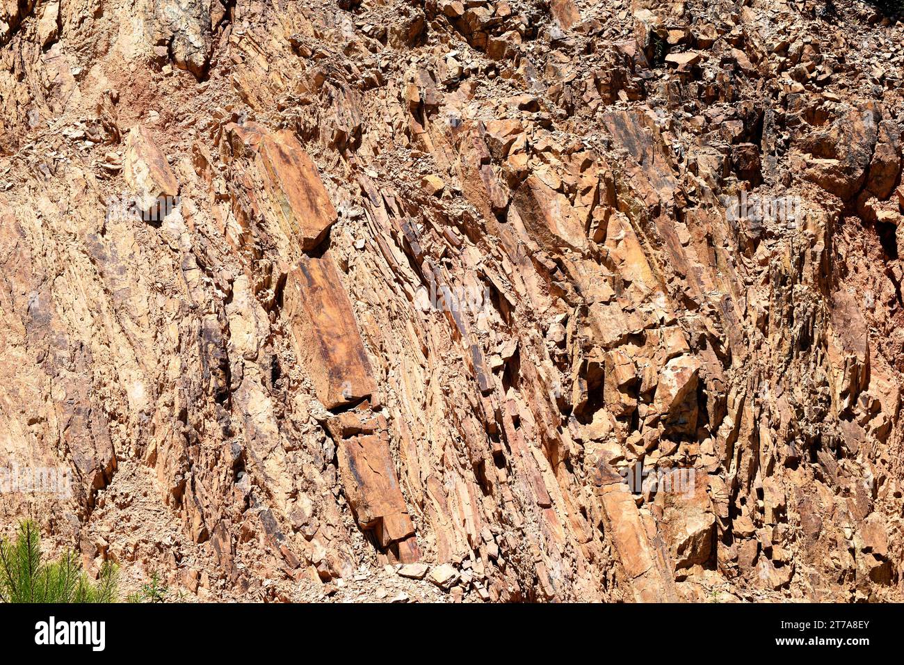 Quartzite is a metamorphic rock composed of quartz. Vertical strata ...