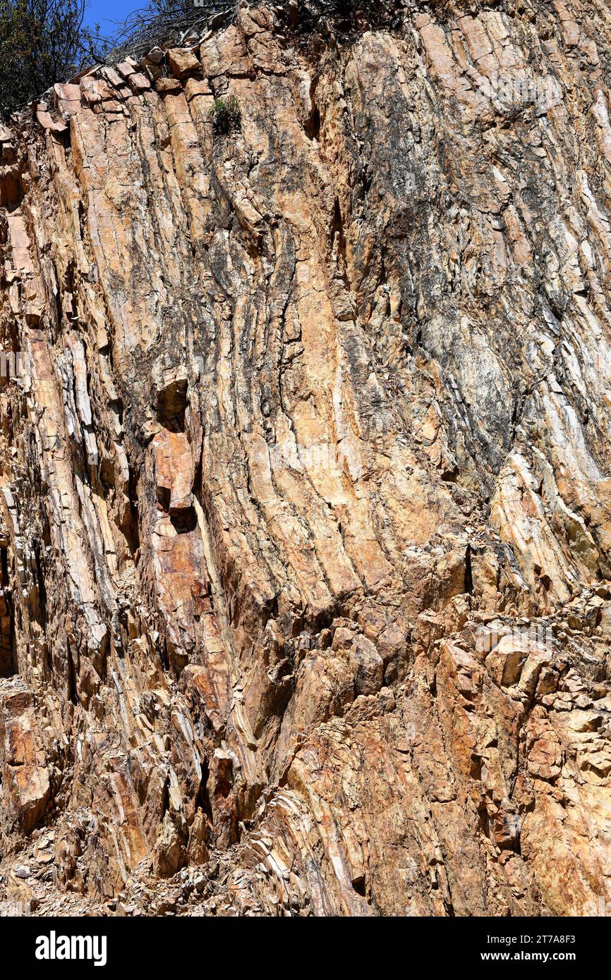 Quartzite is a metamorphic rock composed of quartz. Vertical strata ...