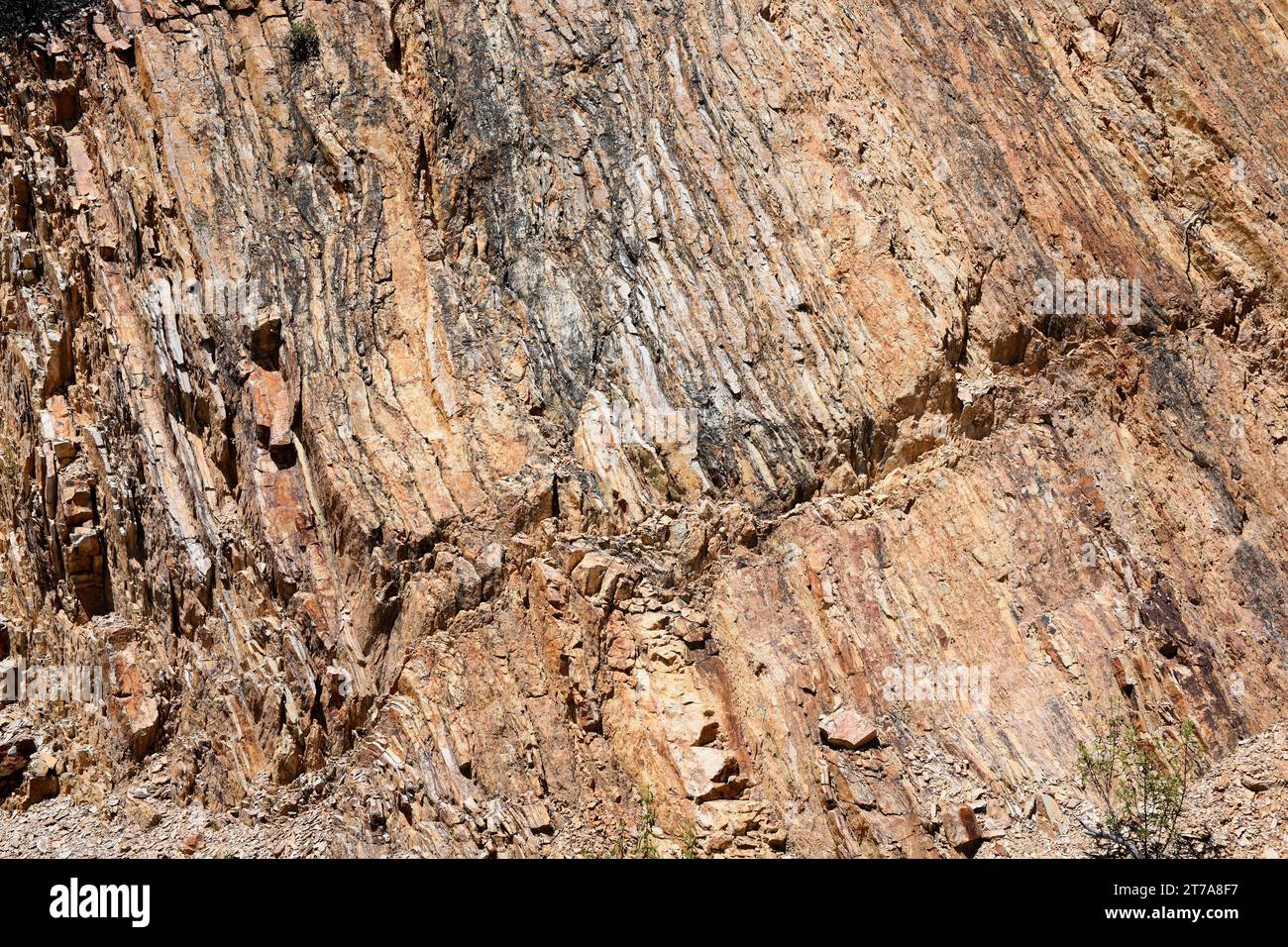 Quartzite is a metamorphic rock composed of quartz. Vertical strata ...