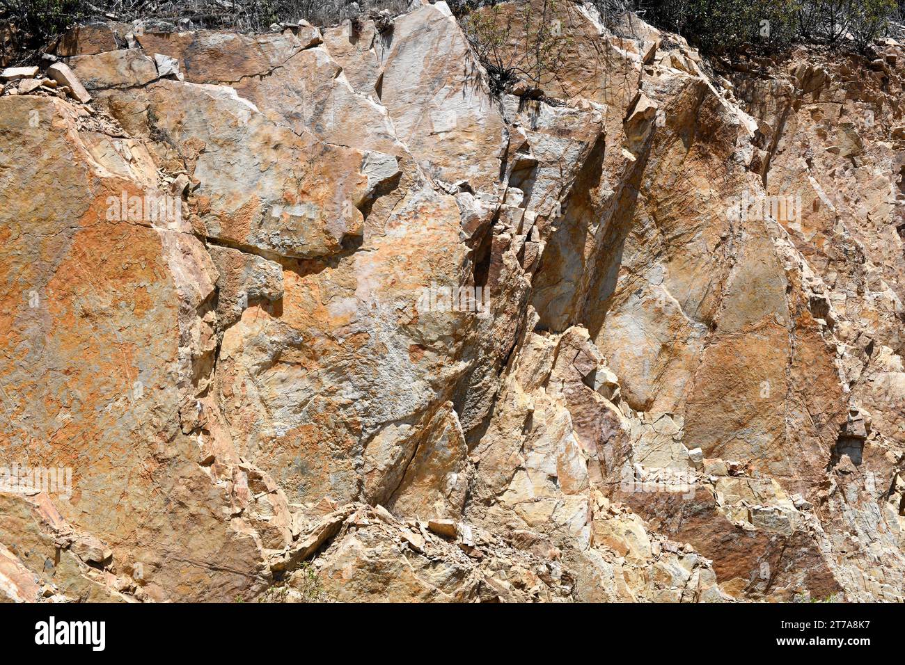 Quartzite is a metamorphic rock composed of quartz. Vertical strata ...