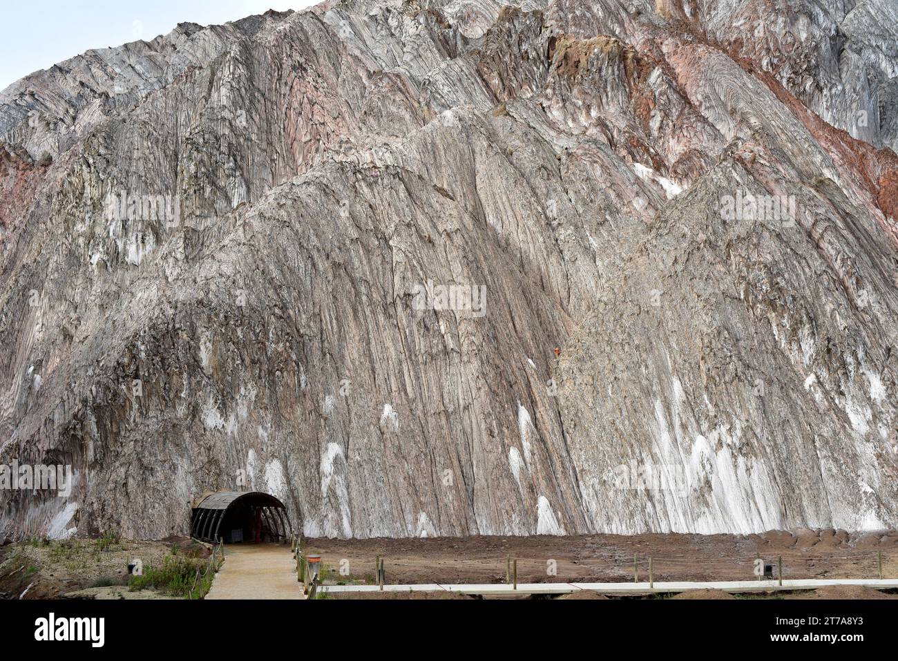 Carnallite hi-res stock photography and images - Alamy