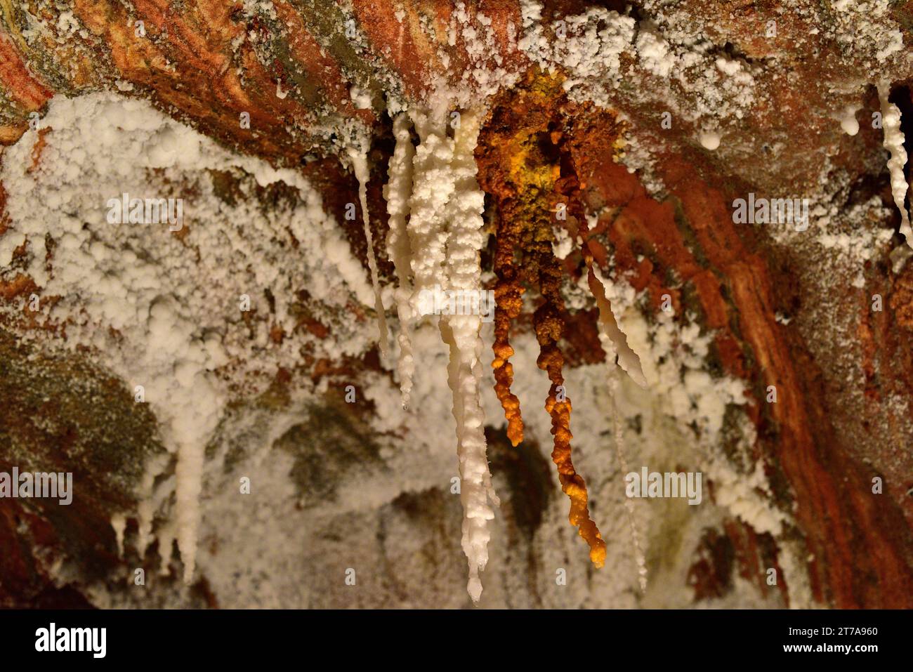 Carnallite hi-res stock photography and images - Alamy