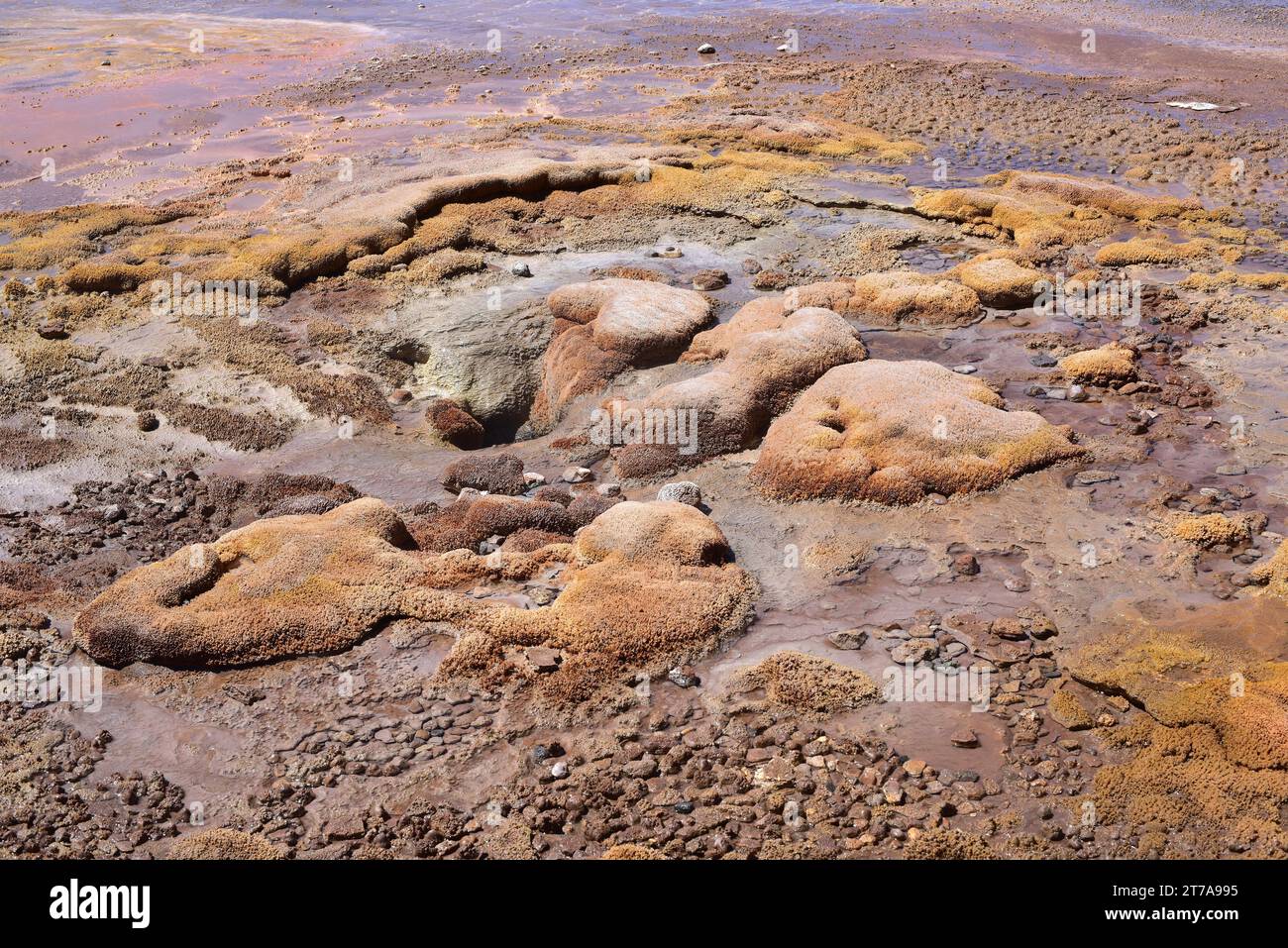 Horizontal photo tatio geysers hi-res stock photography and images - Alamy
