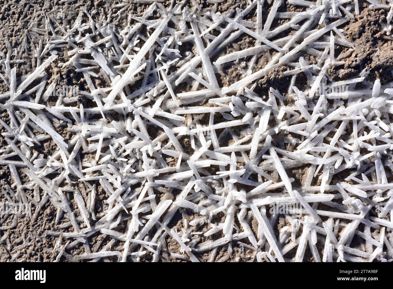 Gypsum is a calcium sulfate dihydrate mineral . This photo was taken in ...