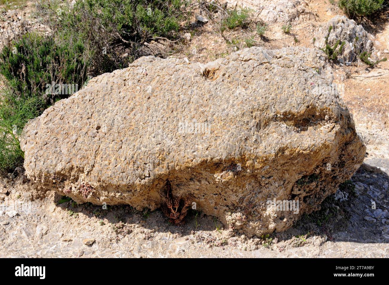 Gypsum block. Gypsum is a calcium sulfate dihydrate mineral . This ...