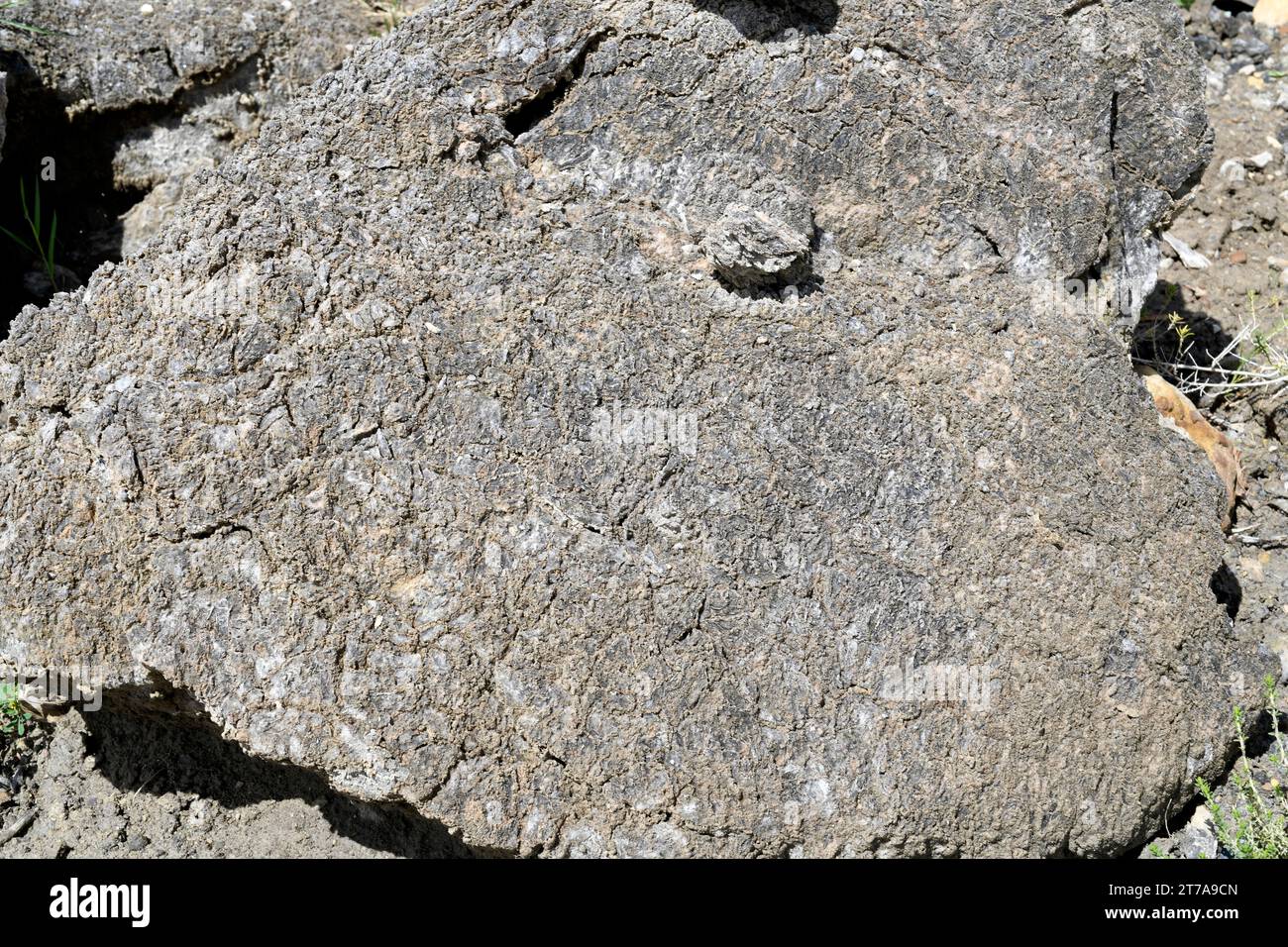 Grey gypsum block. Gypsum is a calcium sulfate dihydrate mineral. This ...