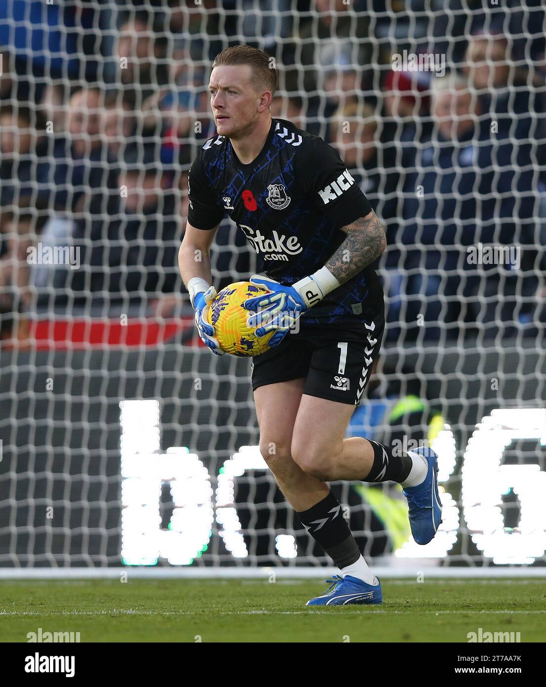 Jordan Pickford of Everton. - Crystal Palace v Everton, Premier League ...