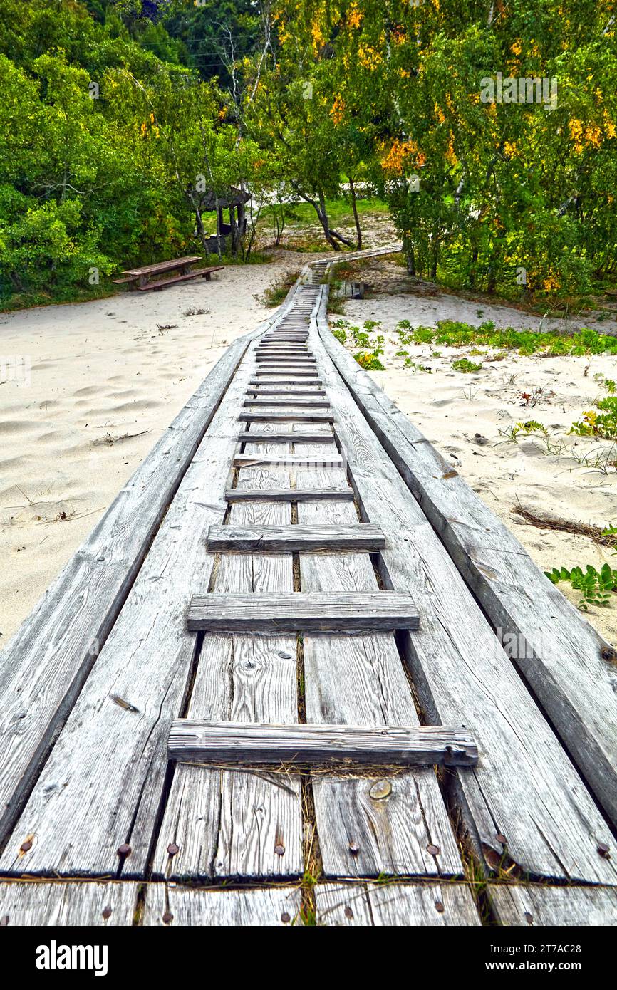 A weathered, cracked wooden path running through the sand. Old wooden ...
