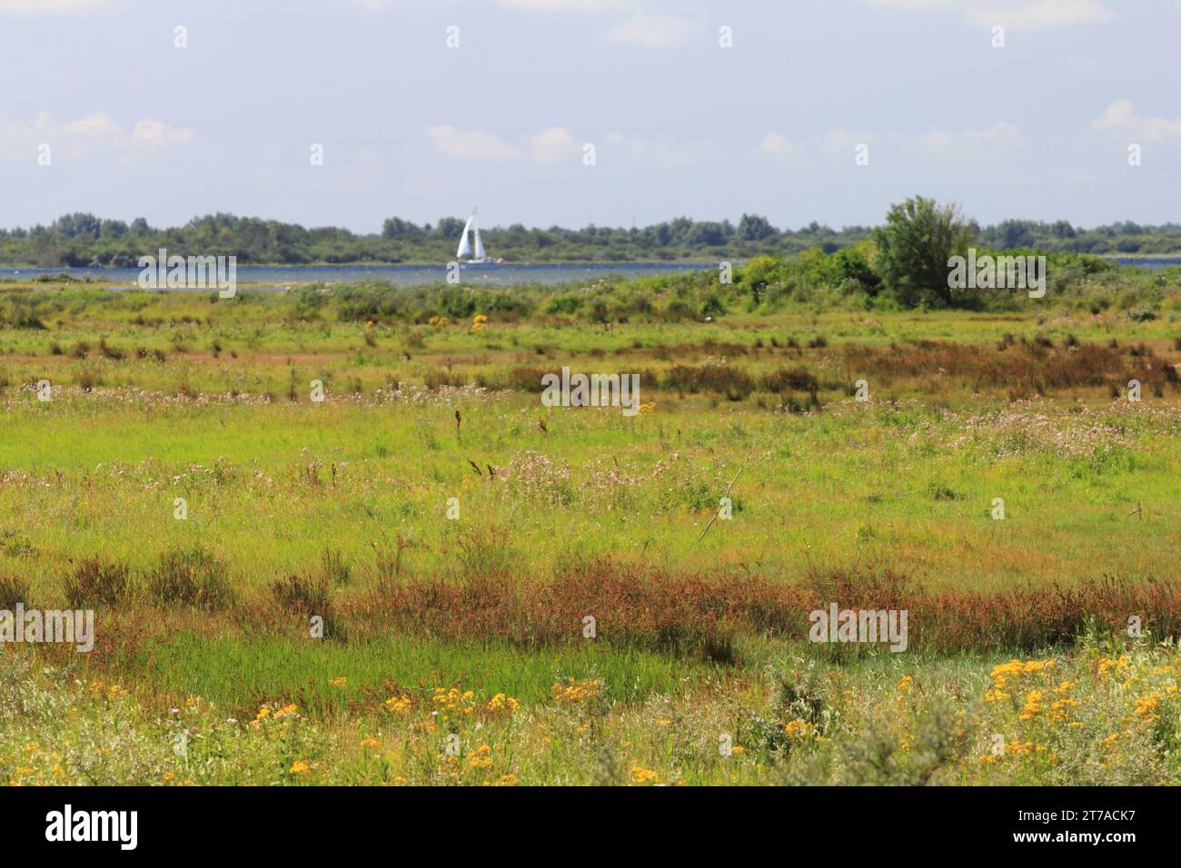 A natural landscape on the North Sea coast in the Netherlands Stock ...
